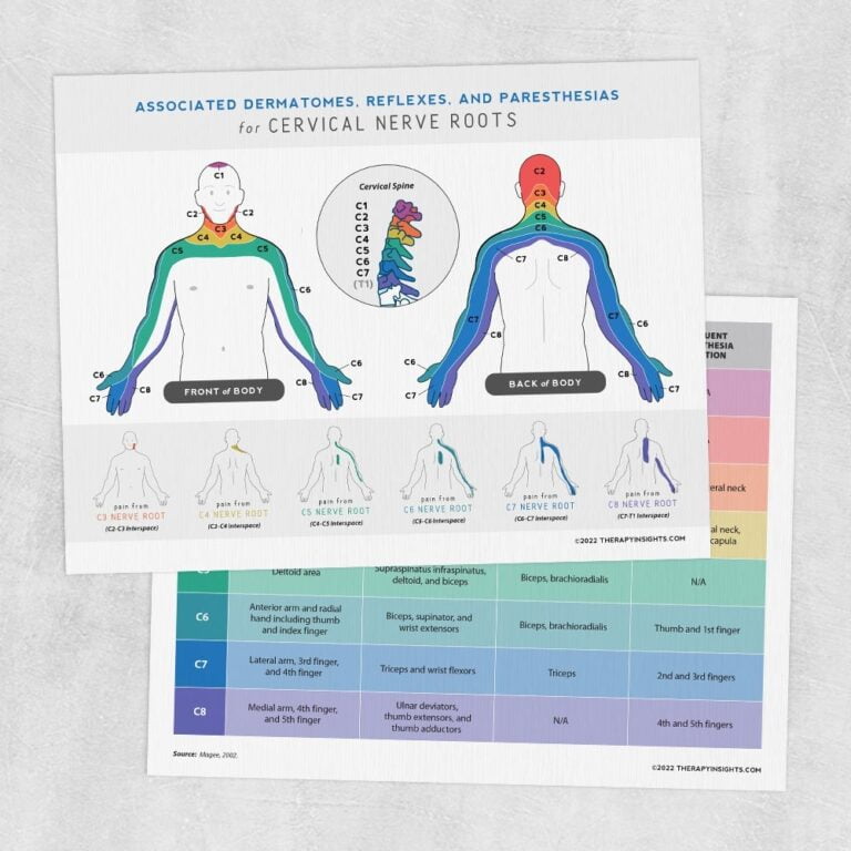 Associated Dermatomes Reflexes And Paresthesias For Cervical Nerve ...