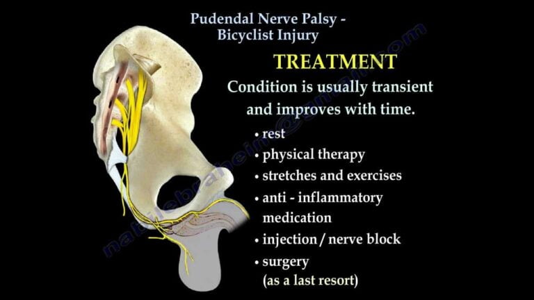 Pudendal Neuralgia Physiopedia - Dermatomes Chart and Map